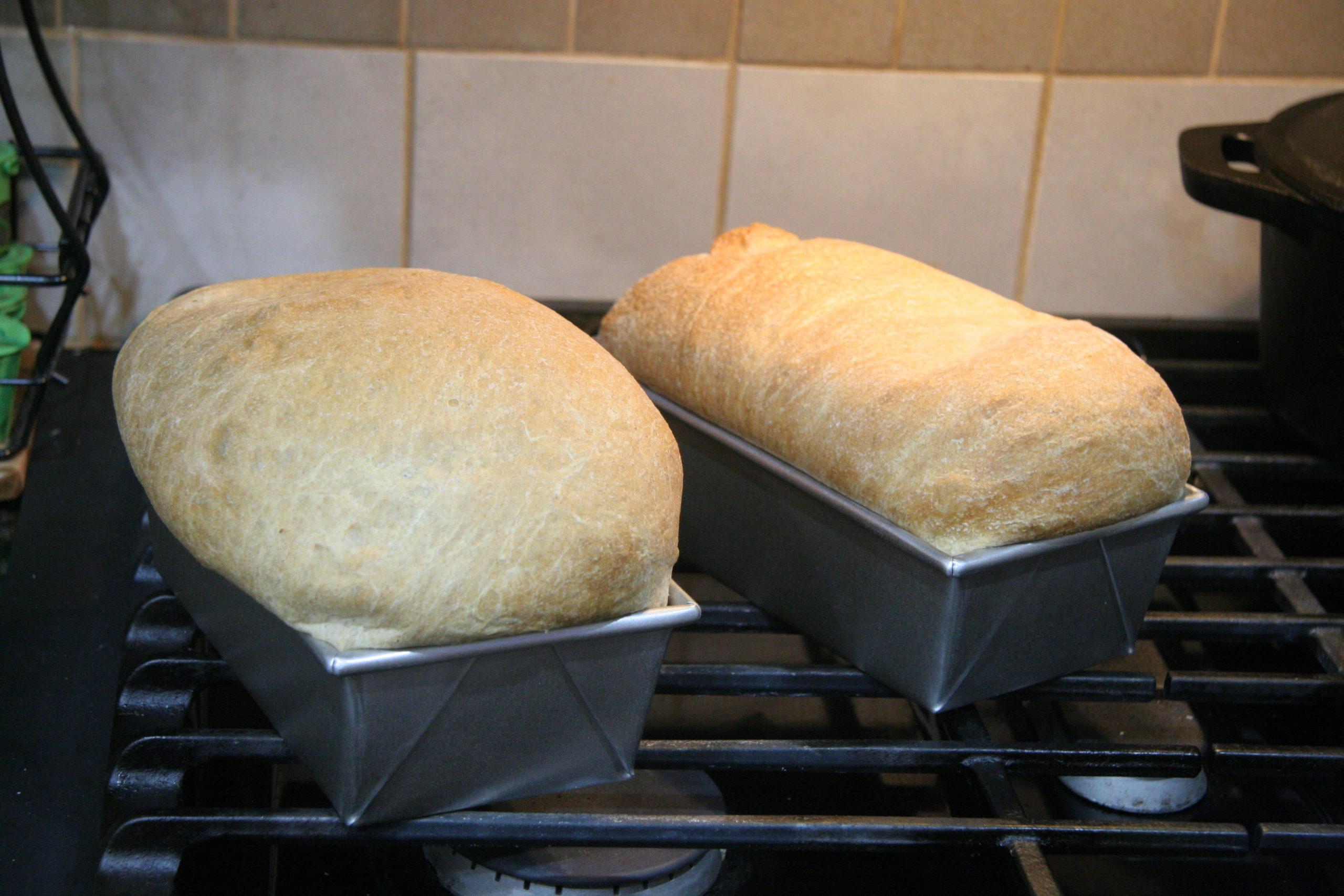 How to make Maple Syrup Wheat Bread - Fox Pines Homestead